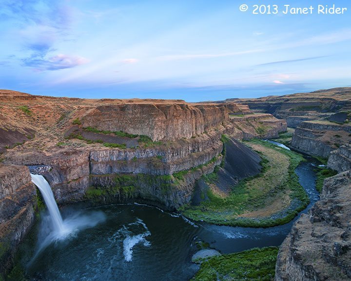 2nd Place Wildlife – Gosling By Margaret Waddell | Nature Photographers ...