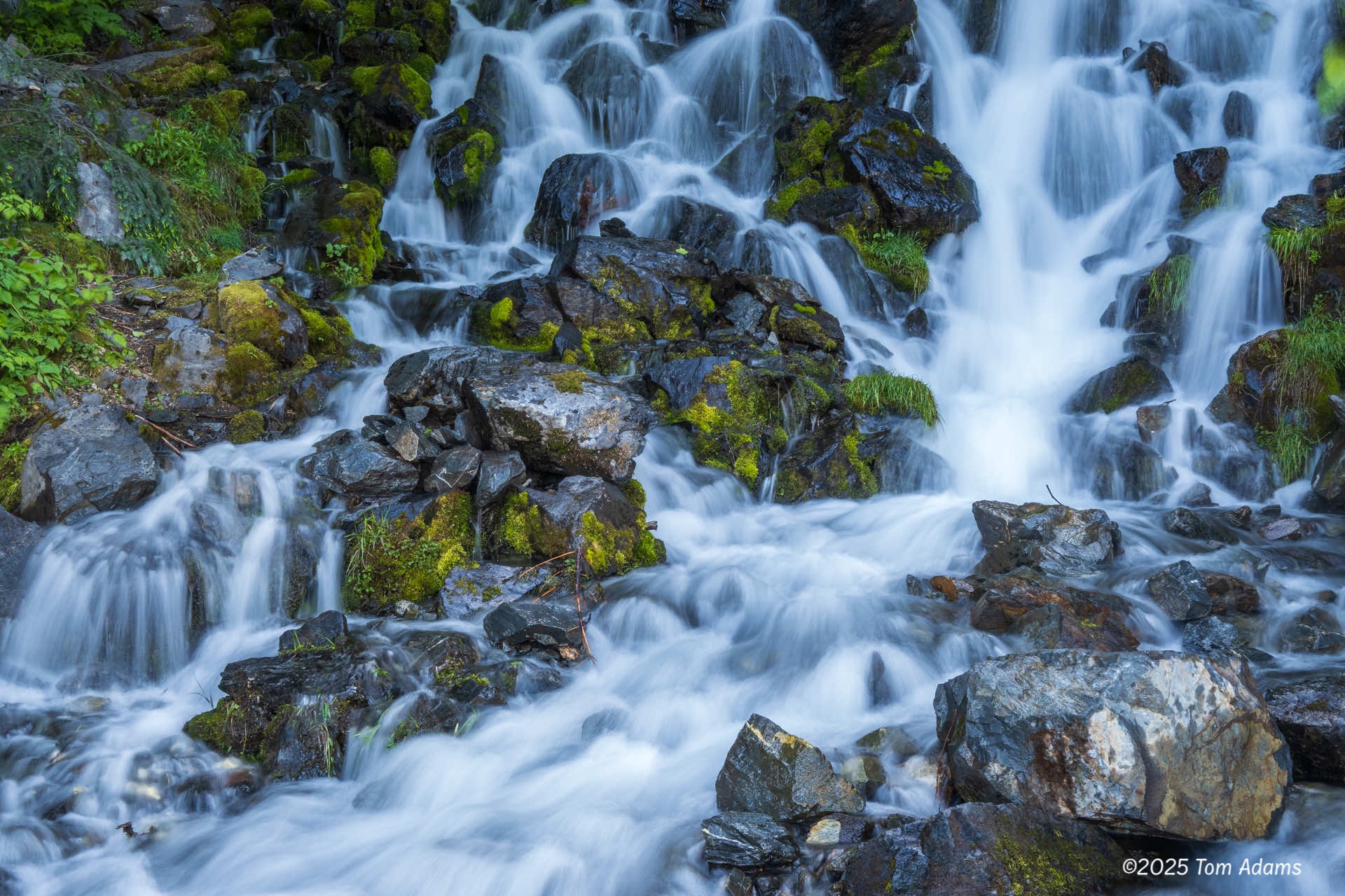 HM Scenic – Lowell Point Stream by Tom Adams | Nature Photographers of ...